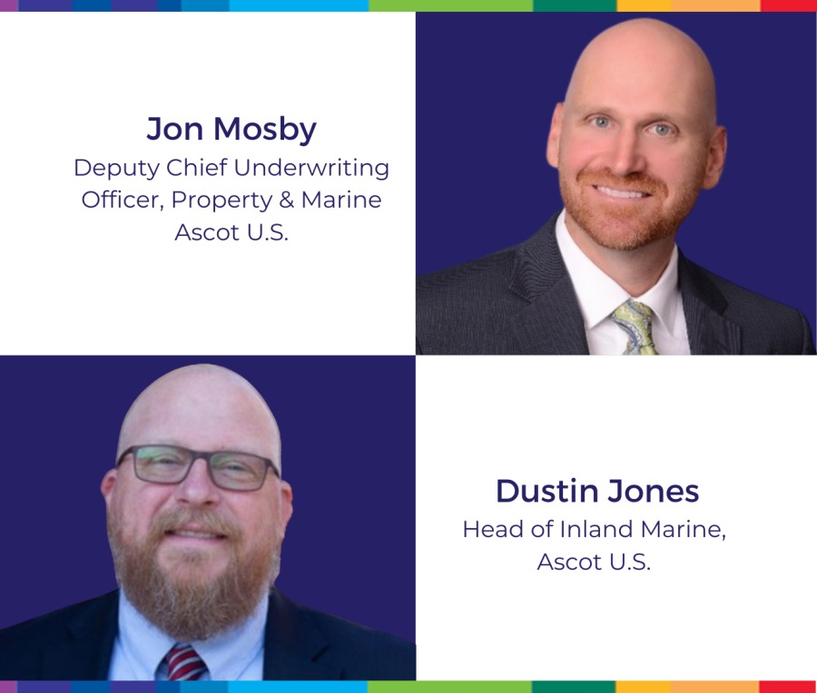 Insurance - Ascot Group